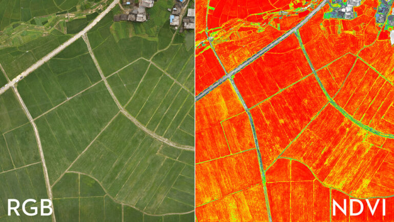 Multispectral Imaging - Coptrz