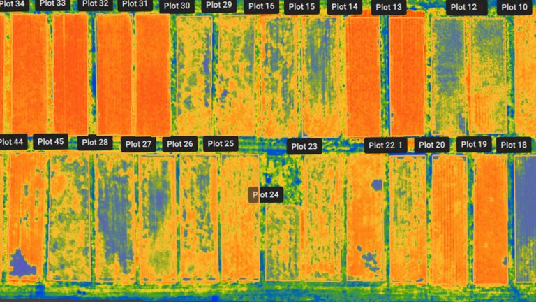 Pix4Dfields - Aerial Crop Analysis Software