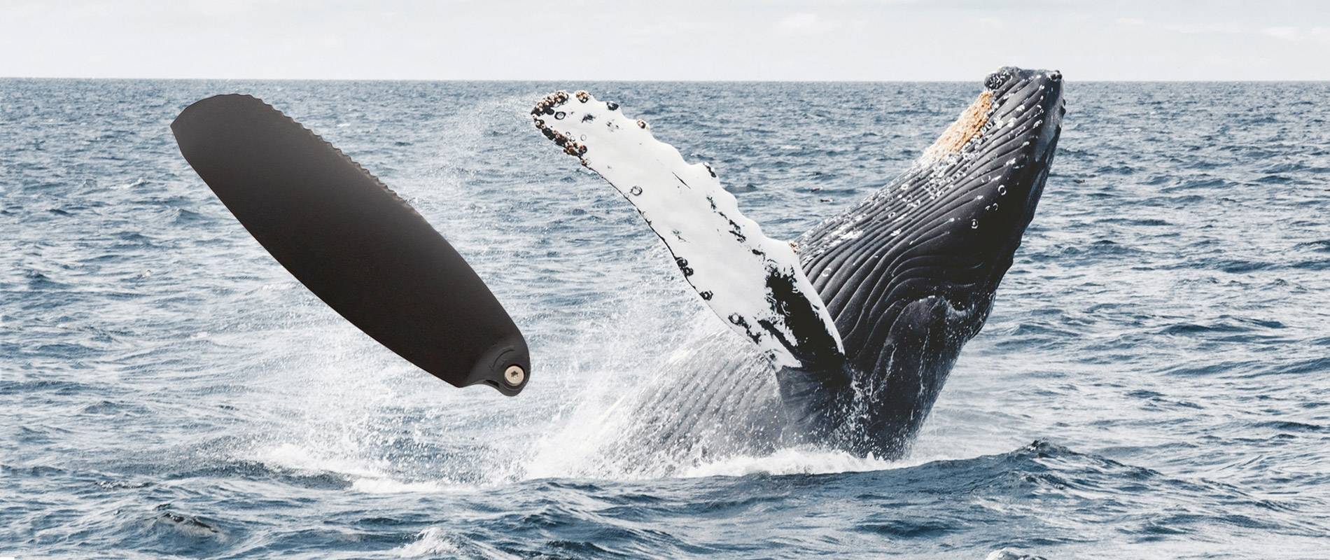 Everything you NEED to know about the Parrot ANAFI USA - Coptrz